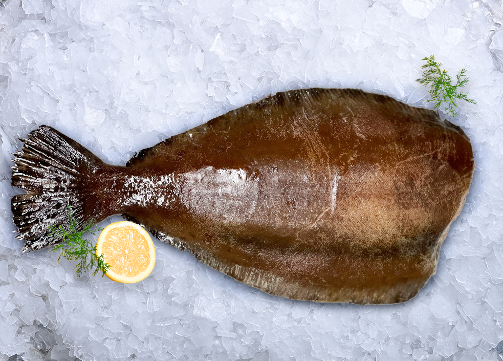 FLOUNDER DRESSED 150-250GM IQF 5KG # 8116 PACIFIC SEAFOOD - Superior ...